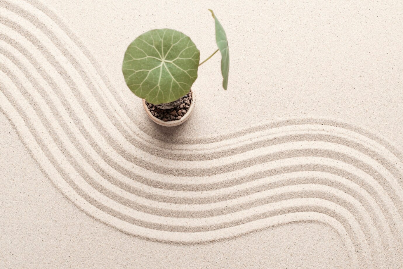 Creating a Zen Garden – Landscaping Ideas for Singapore Homes