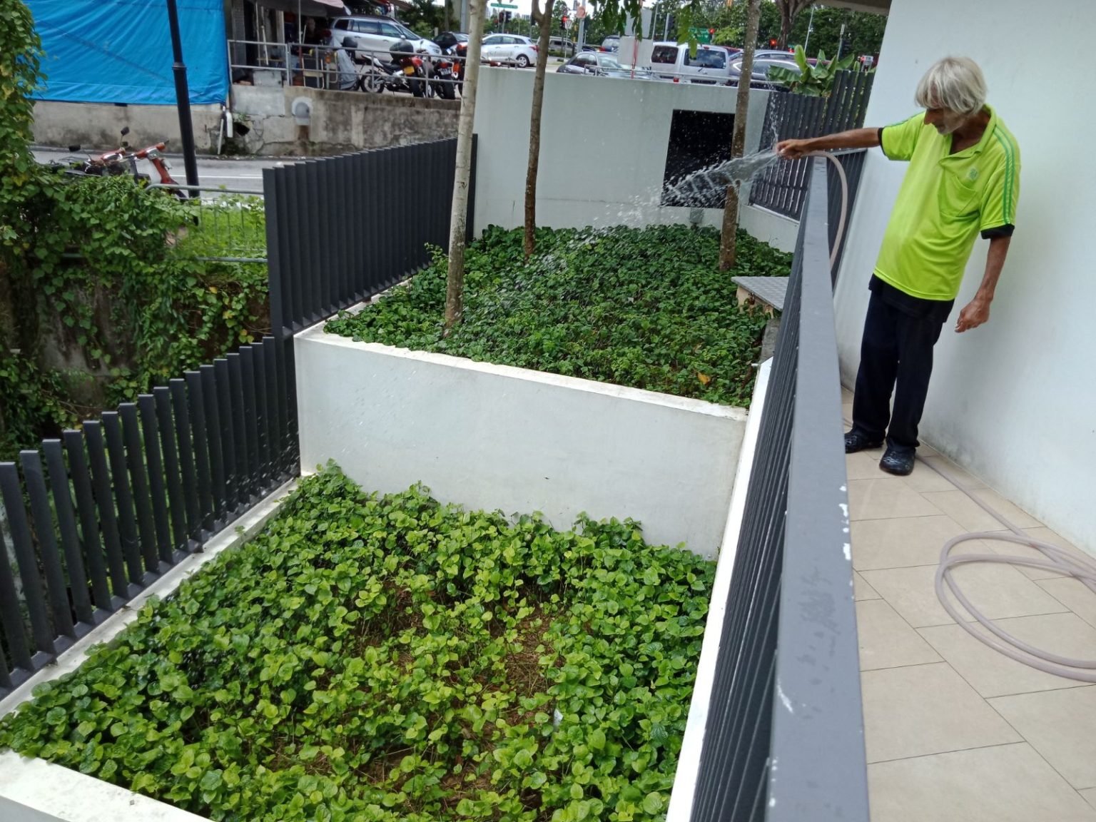 Commercial Landscaping Services Singapore | Green Garden